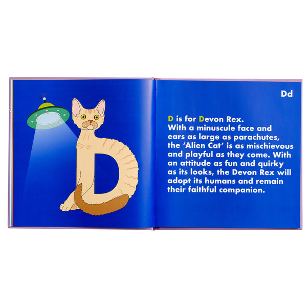 ART LEGENDS ALPHABET BOOK – Alphabet Legends Australia